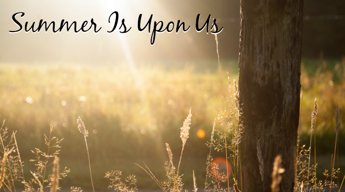 Summer Is Upon Us - Ponderosa Homes